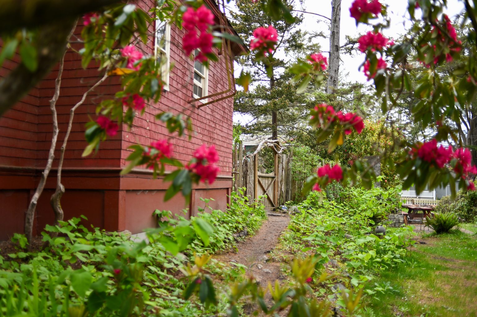 The Sou'wester Lodge